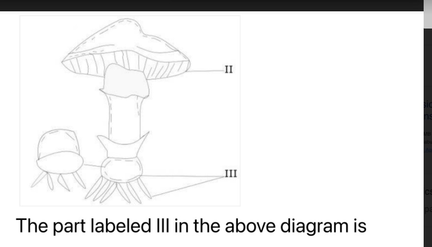 BIOLOGY JAMB CBT 2019 biology Jamb Past Questions And Answers biology-jamb-cbt-2019-biology-jamb-past-questions-and-answers